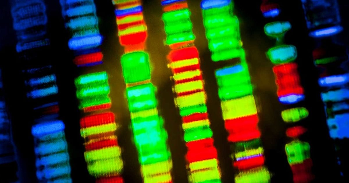 How Machine Learning Can Help the Field of Genomic Medicine - IEEE ...